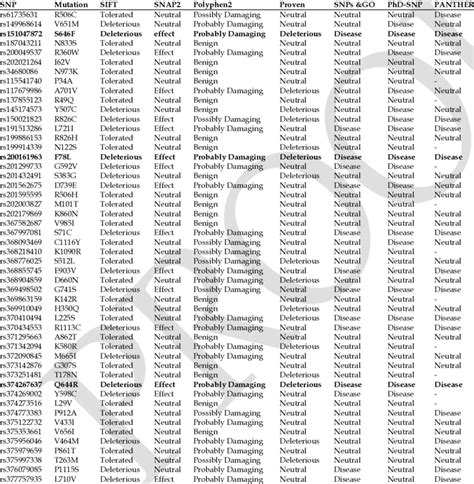 Predicted Effect Of Snps Determined Using Various Tools Download Scientific Diagram