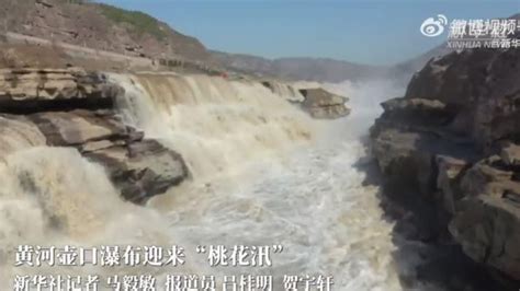 ទឹកធ្លាក់ Hukou នៃទន្លេលឿងបានឈានដល់ដំណាក់កាលទឹកជំនន់ផ្កា Peach រីក