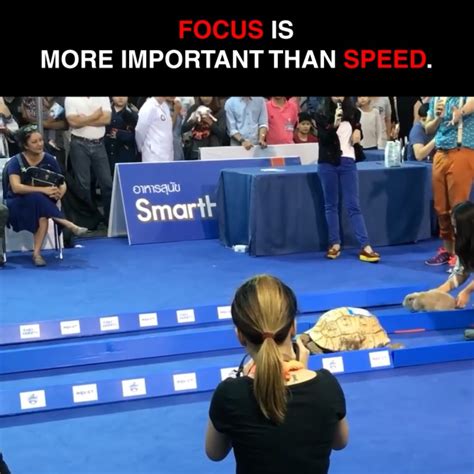 Kent C On Linkedin Slow And Steady 🐢vs Fast And Distracted 🐇