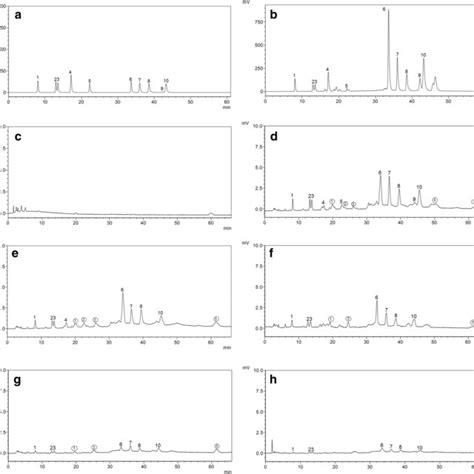 Hplc Chromatograms Of The Test A Chromatograms Of The Mixed