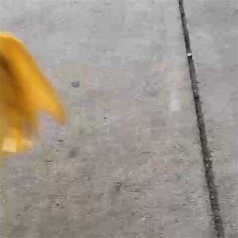 Post 67285498220 Paradise Of Tumbex Post 67285498220 Paradise Of Tumbex