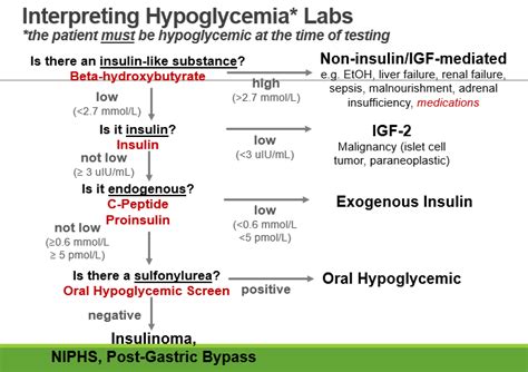 Hypoglycemia Evaluation Algorithm Interpreting Hypoglycemia Grepmed