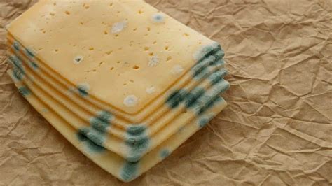 National Moldy Cheese Day Quotes Wishes And Messages