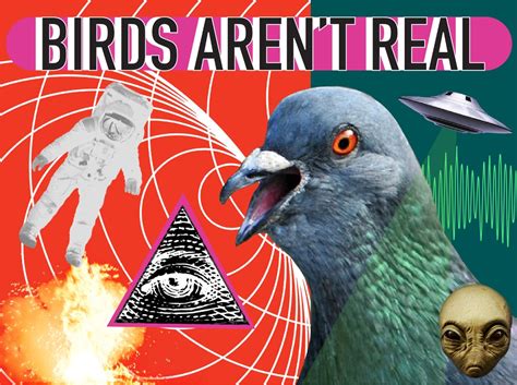 Birds Arent Real Funny Meme Humor Surreal Aliens Poster Etsy