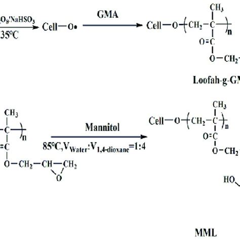 The Principle Of Mml Preparation Download Scientific Diagram