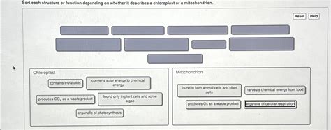Solved Sort Each Structure Or Function Depending On Whether