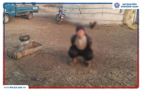 ЦЕГ Хүн амины ноцтой гэмт хэрэг үйлдсэн этгээдийг мөрдөн шалгаж байна