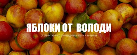 Яблоки от Володи Предлагаем вам плоды Тульской Орловской Курской Липецкой Воронежской