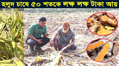 হলুদ চাষে ৫০ শতকে লক্ষ লক্ষ টাকা আয় । হলুদ চাষ পদ্ধতি । Turmeric Cultivation । Swadesh Bd Youtube