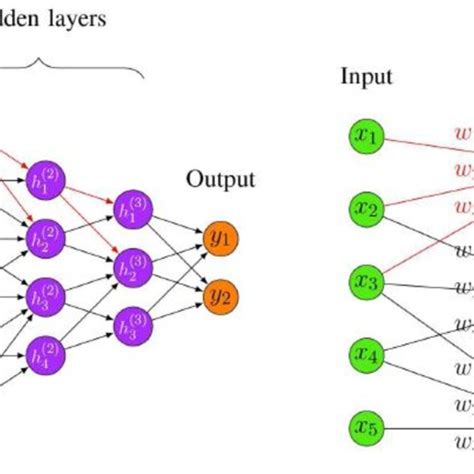 Local Connectivity And Shared Weights Of A Typical CNN Emmert Streib