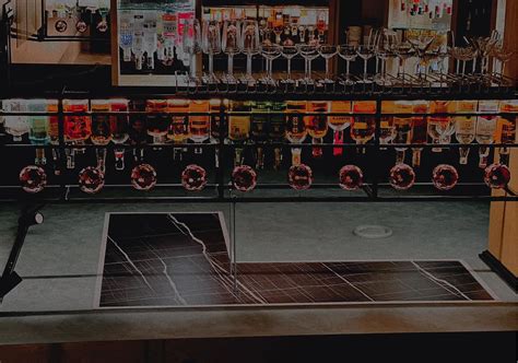 Youth 🌎Градски еко фестивал Всеки ден ден на Земята във Варна 🌱 Фондация „Младежи за