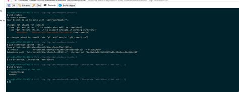 When Submodules Are Linked To A Branch Branch Names Are Not Displayed