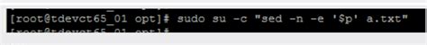 Why Could Not Get Any Output When Use Command Sudo Su C Sed N E P Atxt Stack Overflow