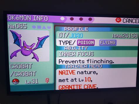 Which One Of These 2 Should I Keep On My Team R Pokemonemerald