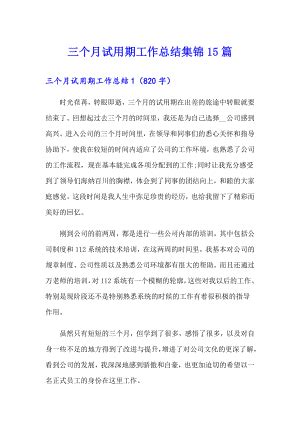 三个月试用期工作总结集锦15篇