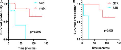 Kaplanmeier Analysis Of Progression Free Survival Of Supratentorial