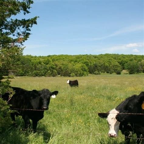 Garr Haystack Lyrics Genius Lyrics