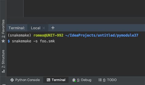 How To Debug The Code With Pycharm Issue Jetbrains Research Snakecharm Github