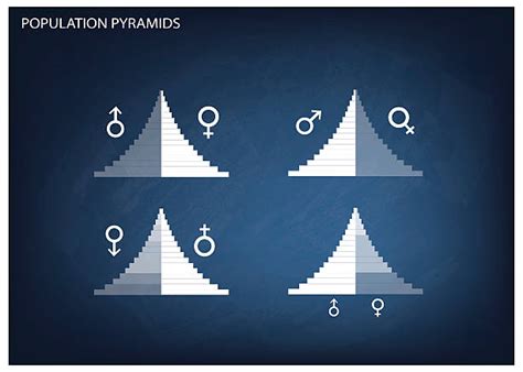20 Shrinking Population Stock Illustrations Royalty Free Vector
