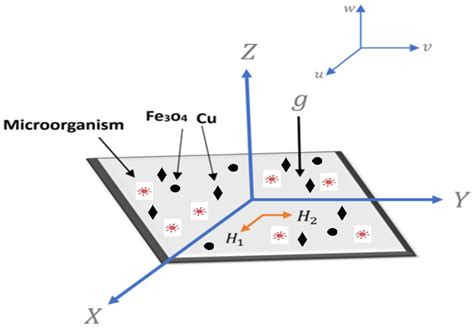 Influence Of Gyrotactic Microorganisms On Bioconvection In