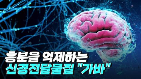 핫클립 뇌의 신경회로를 조절할 방법을 연구하다 Ytn 사이언스 Youtube