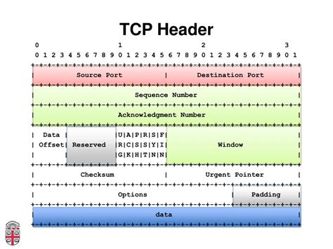 ppt csci 1680 transport layer i powerpoint presentation free