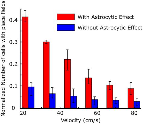 Astrocytes Enhance The Emergence Of Place Fields During The Slow Download Scientific Diagram