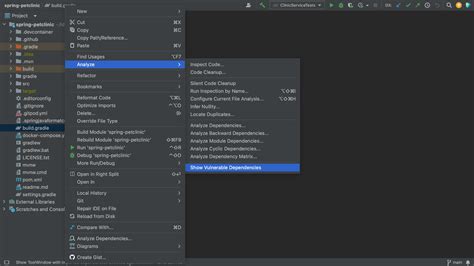 Package Checker Find And Fix Vulnerabilities Inside Intellij Idea