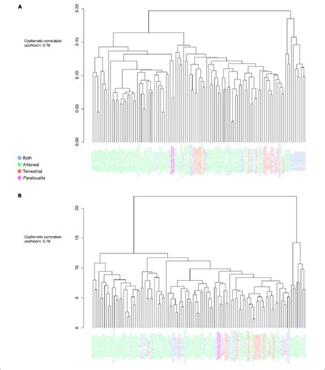 upgma hierarchical clustering analyses of a shape and b