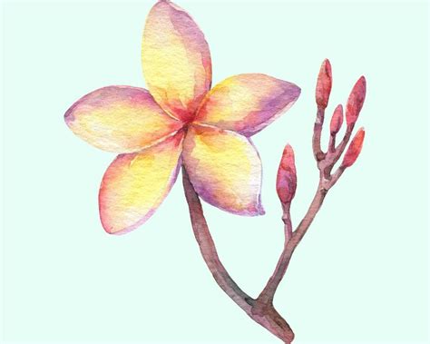 Application Of Computer Graphics Top 10 Uses Explained Unstop