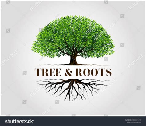 Tree Roots Logo Design Vector Isolated Stock Vector Royalty Free Shutterstock