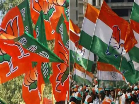 Neck Fight Between Bjp And Congress In Mansa Assembly Seat Who Will Win