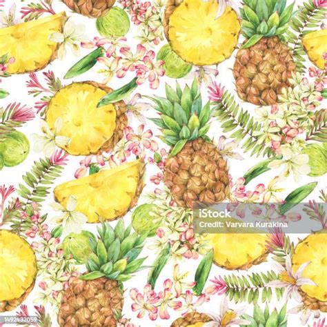 수채화 빈티지 열대 여름 과일 원활한 패턴 파인애플 흰색 파인애플에 대한 스톡 벡터 아트 및 기타 이미지 파인애플 0명