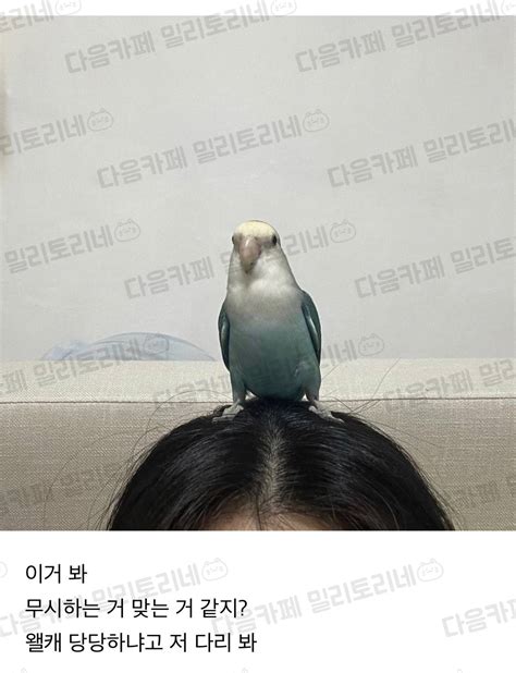 나 무시 당하는 거 맞지 인스티즈 Instiz 이슈 카테고리
