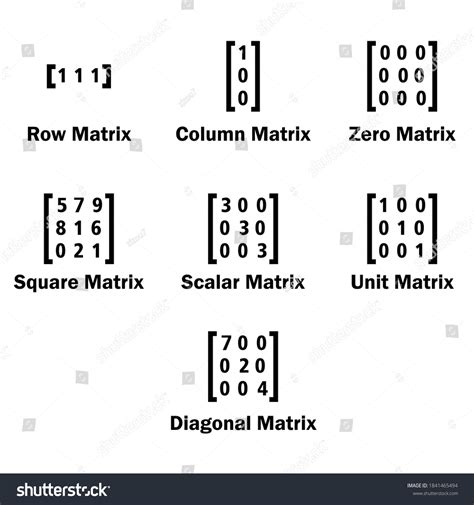 Types Matrices On White Background Stock Vector Royalty Free 1841465494 Shutterstock