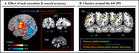 Task Execution And Search Accuracy A Overall Effect Of Task Execution