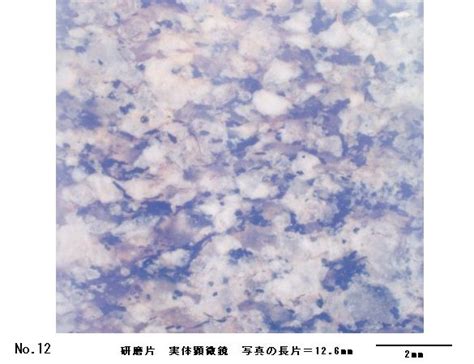 NO 12トーナル岩 大鹿村中央構造線博物館