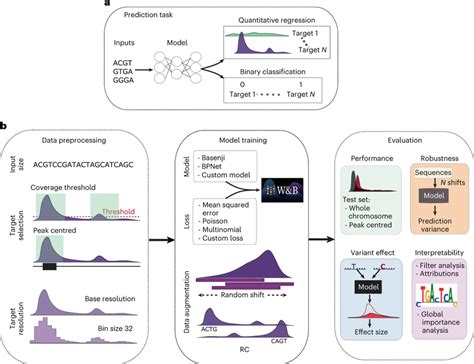 gopher overview a comparison of binary and quantitative prediction download scientific diagram