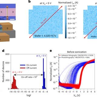 Wafer Scale Integration Of Transition Metal Dichalcogenide Field Effect