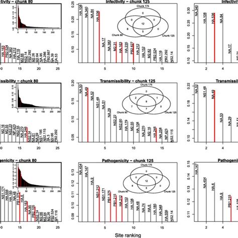 Effect Of Chunk Size On The Distribution Of Importance Of Sites For The Download Scientific