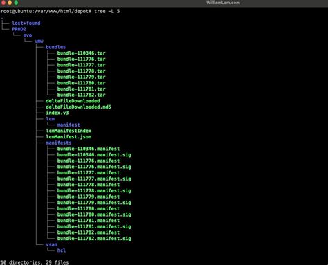 William Lam On Linkedin Creating An Offline Vmware Cloud Foundation Vcf Depot For Multiple Vcf…