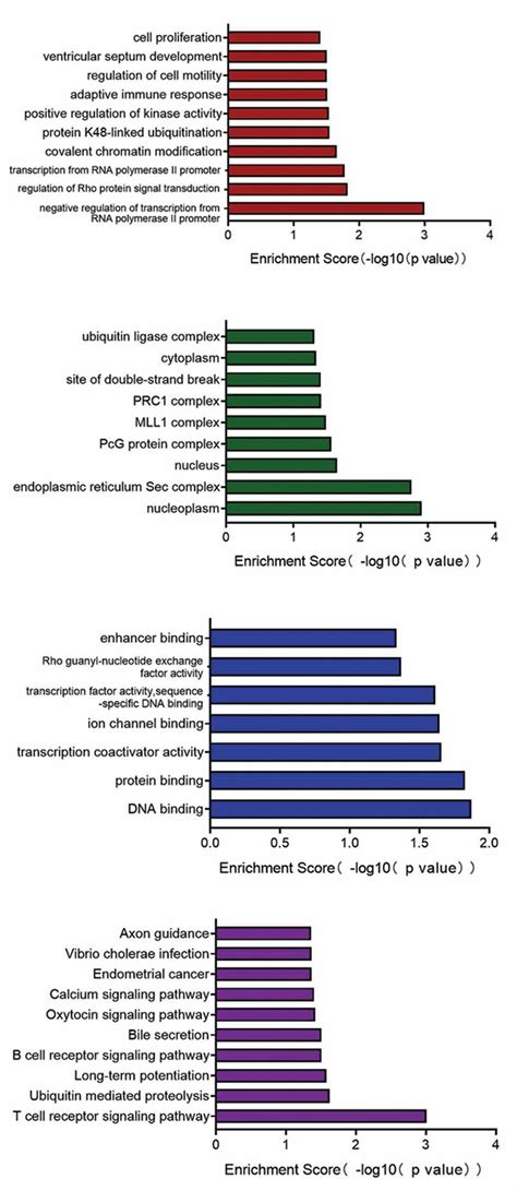 The Gopathway Enrichment Analysis Of Hsacirc0001583 Cernas A Top