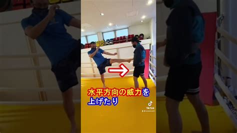 【ヤバい】最強の前蹴りの打ち方shorts Youtube