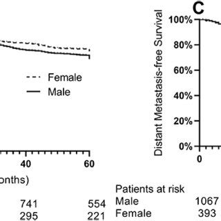Survival Curves Stratified By Sex For Patients In The Entire Cohort Download Scientific Diagram