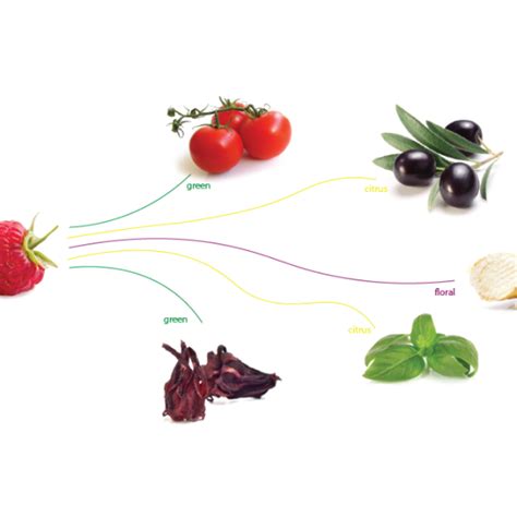 5 Raspberry Pairings For Summer Foodpairing