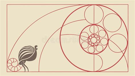 Fibonacci Spiral Pattern Mathematical Sequence In Nature With Golden