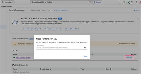 Google Navigation SDK Standalone