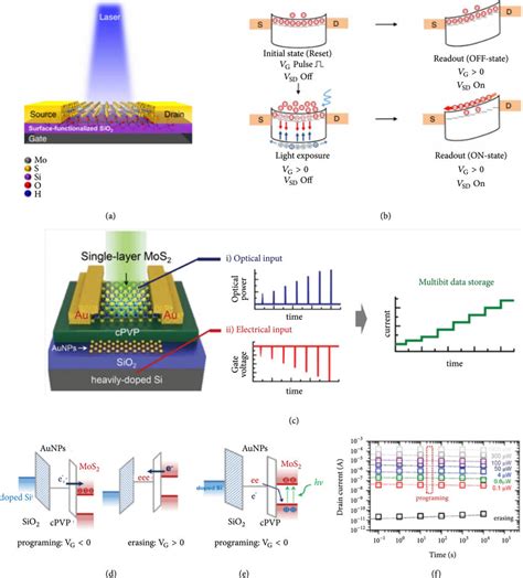 A Schematic Illustration Of Mos2 Oram With Functionalized Mos2 Sio2 Download Scientific