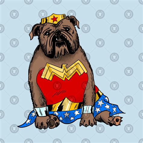 Wonder Bully Wonder Woman T Shirt The Shirt List