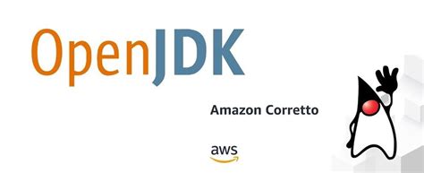 Solved Did Java Fork What Is Jreamazon11022 And Jrecoretto1102 Up And Running Inc
